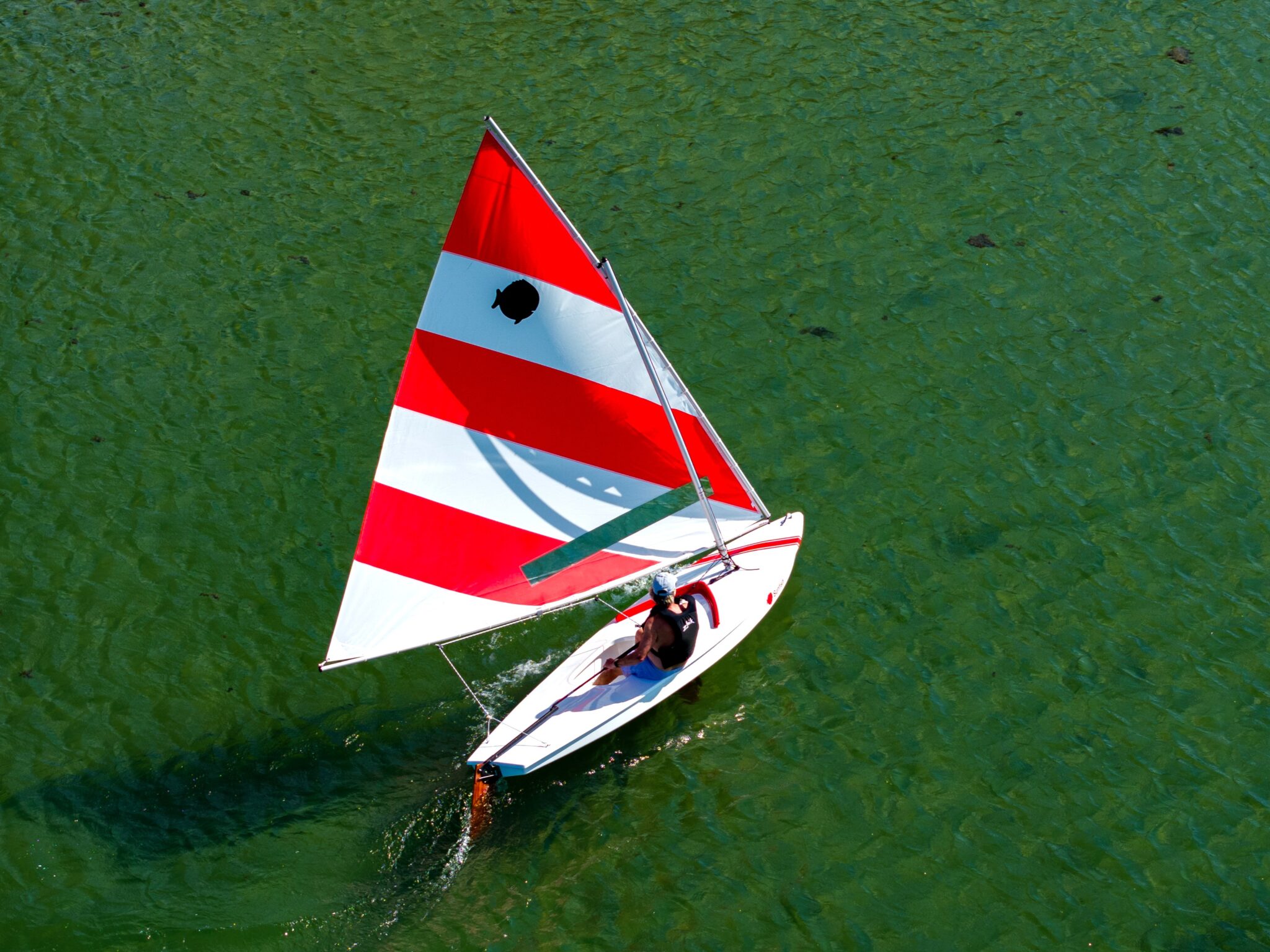 Race or Relax: Sunfish and ISCA’s Diverging Paths