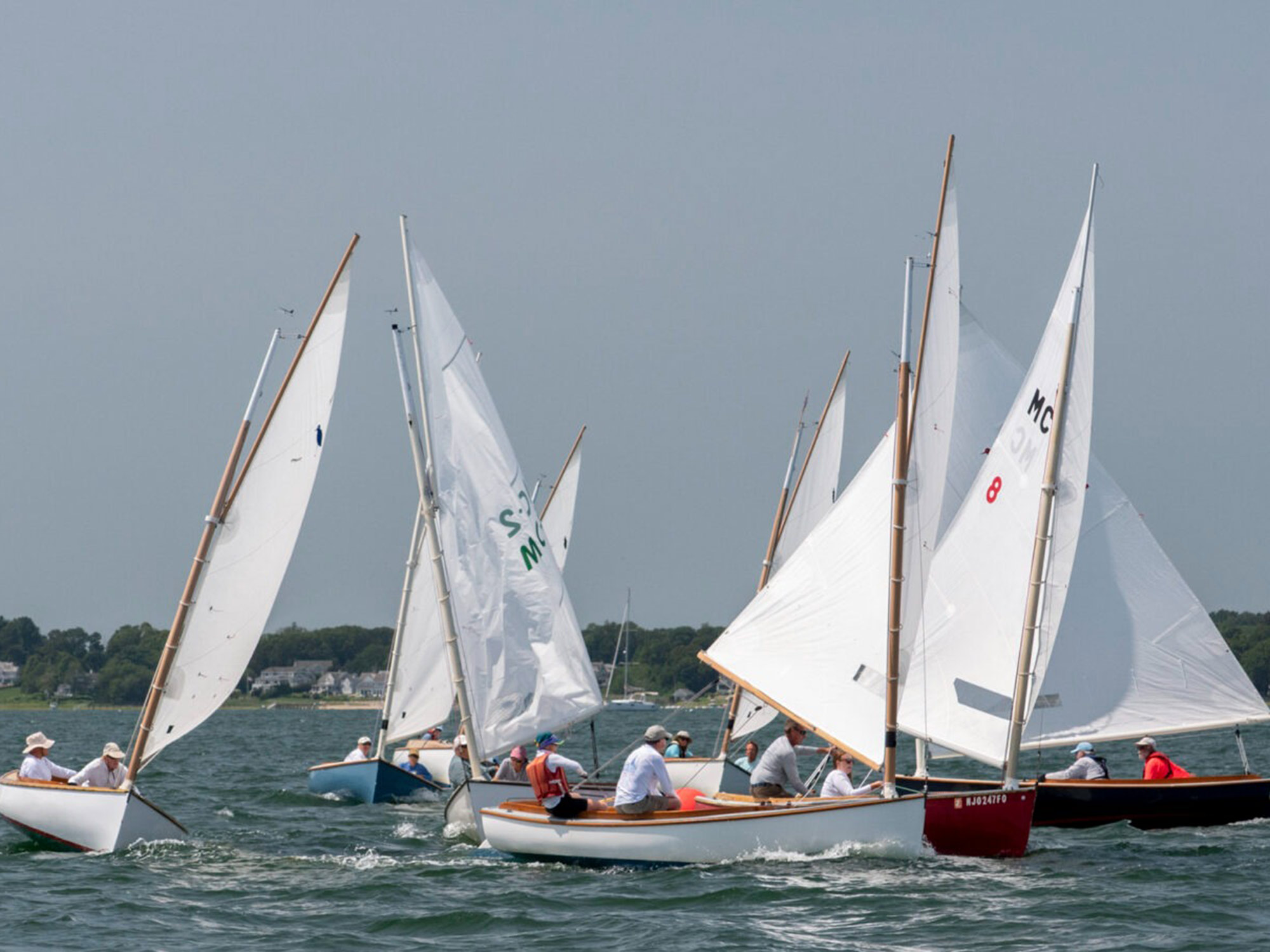 Sailboat Racing