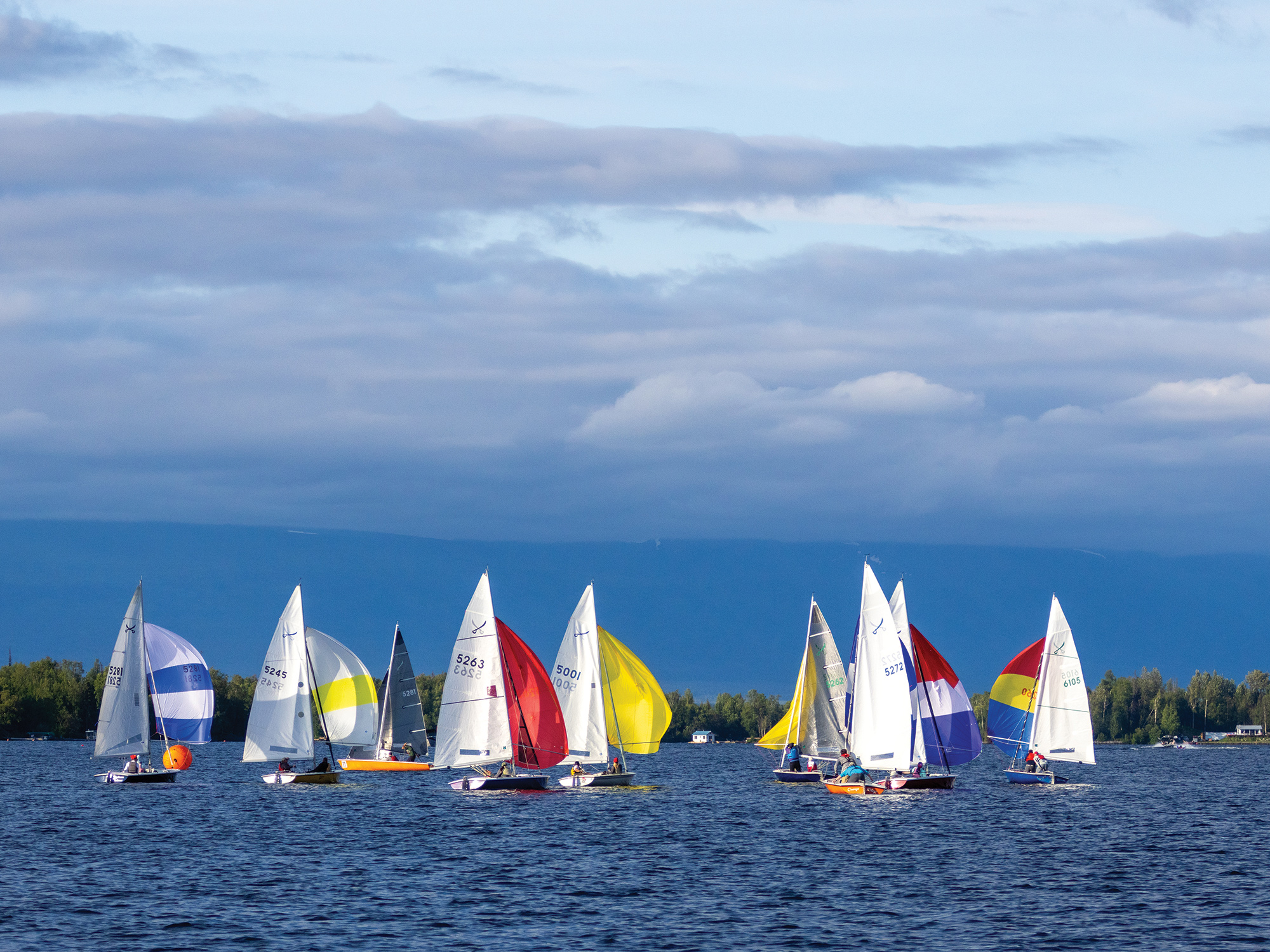 Sailboat Racing